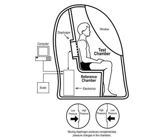 Bod Pod & Consumer Scale Comparison Tests: Part I